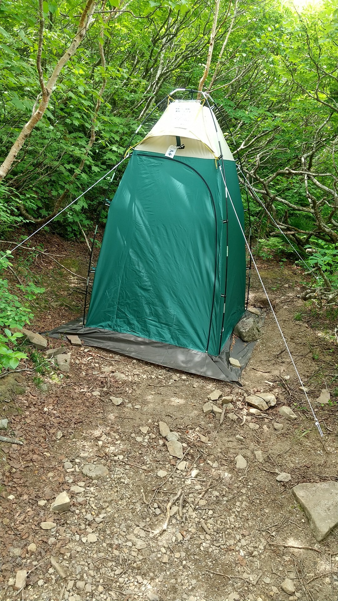 koiさんの投稿したフィールドメモ | YAMAP / ヤマップ