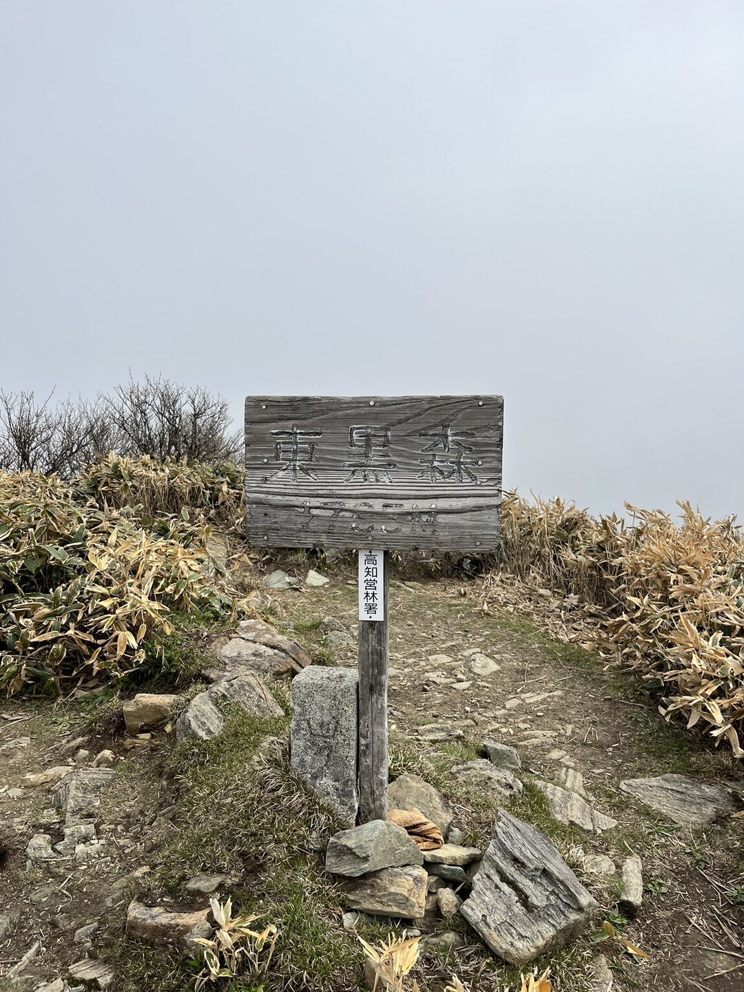 伊予富士 東黒森 / sumaさんの笹ヶ峰・寒風山・平家平の活動データ | YAMAP / ヤマップ