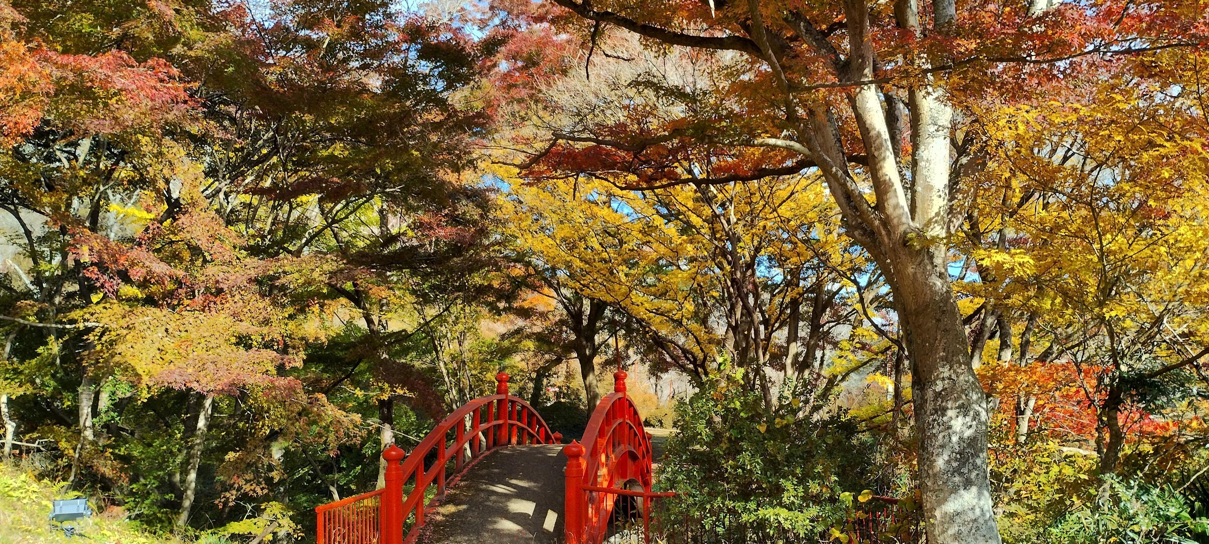 矢祭山・天道塚 / kumi-mamaさんの矢祭山・檜山の活動データ | YAMAP / ヤマップ