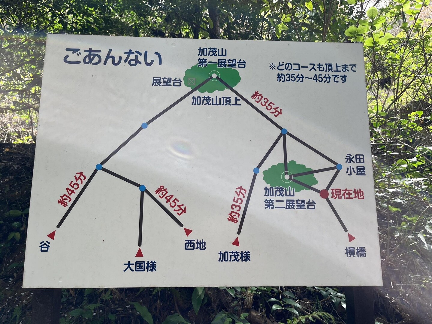 加茂山 / mochiさんの加茂山・高峰ノ森の活動データ | YAMAP / ヤマップ