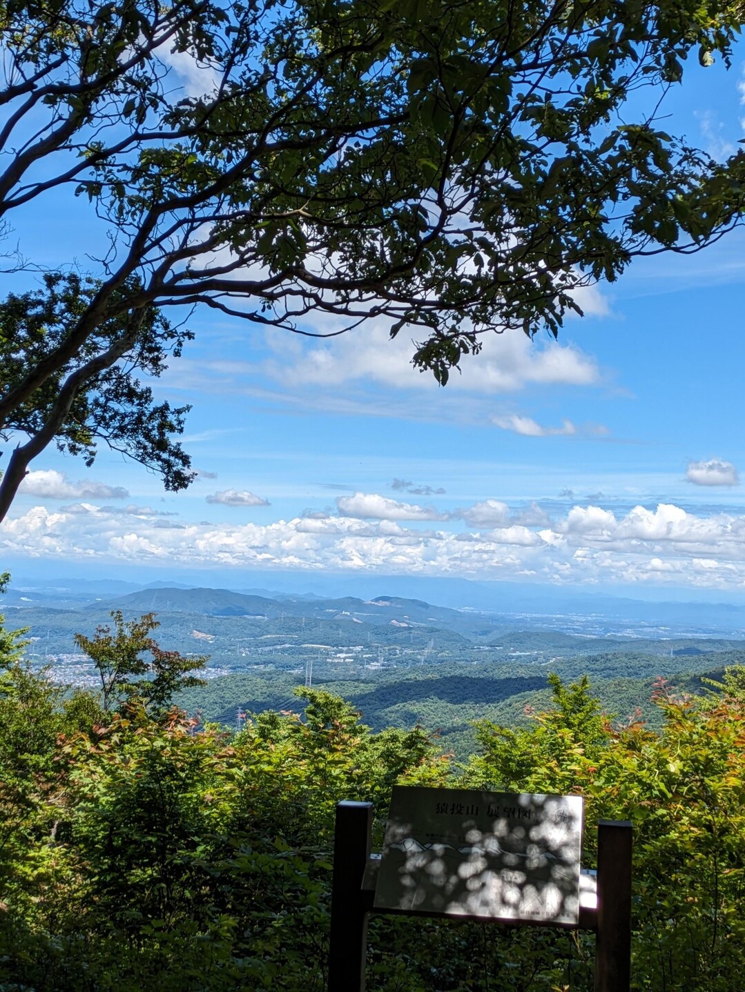 猿投山 2024.6.10 / sim.simさんの猿投山・物見山の活動データ | YAMAP / ヤマップ