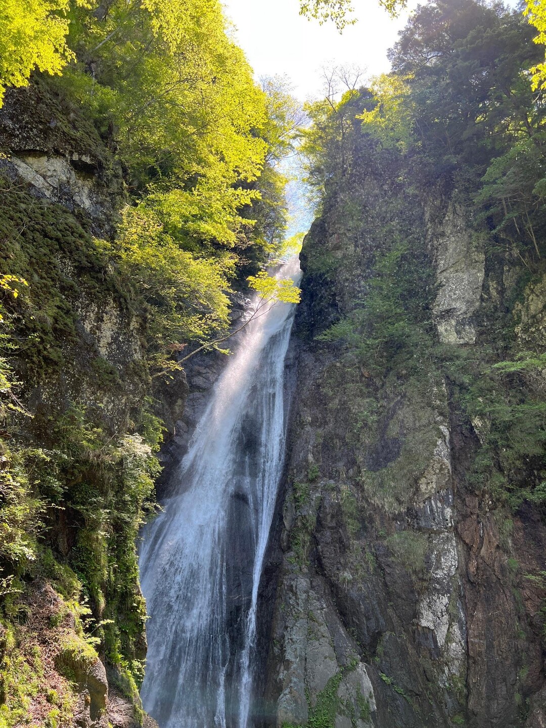 安倍の大滝 / sigeさんの山伏・八紘嶺・笹山の活動データ | YAMAP / ヤマップ