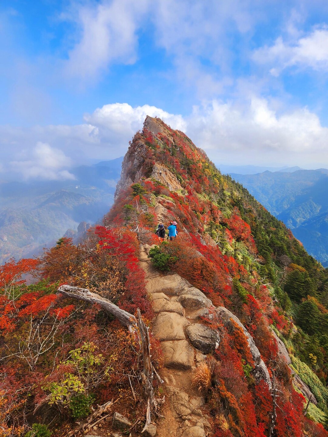 石鎚山・天狗岳 / yukkyさんの石鎚山・堂ヶ森・二ノ森の活動データ | YAMAP / ヤマップ