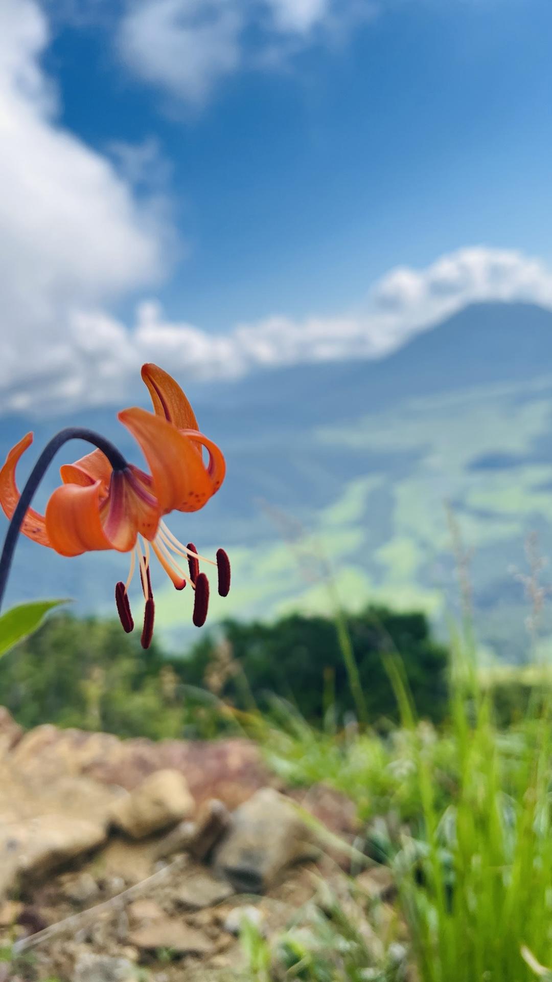 夏の尾瀬へ〜至仏山・小至仏山 / publiusさんの尾瀬・至仏山・悪沢岳・笠ヶ岳の活動データ | YAMAP / ヤマップ