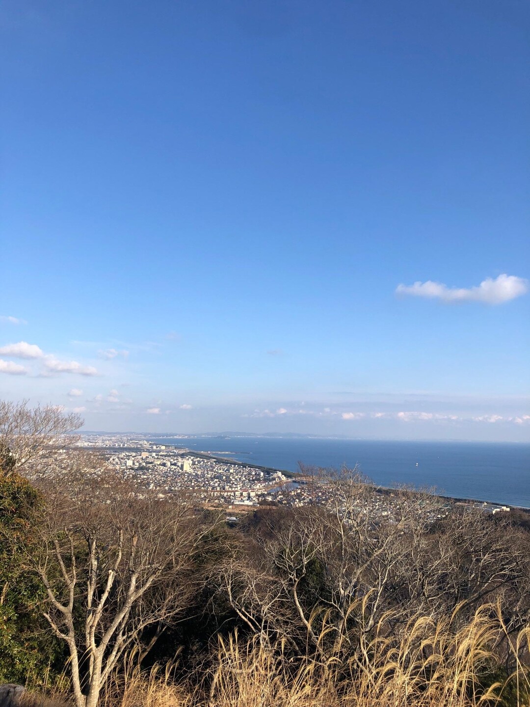 湘南平 / taka14さんの高麗山・湘南平・鷹取山の活動データ | YAMAP / ヤマップ