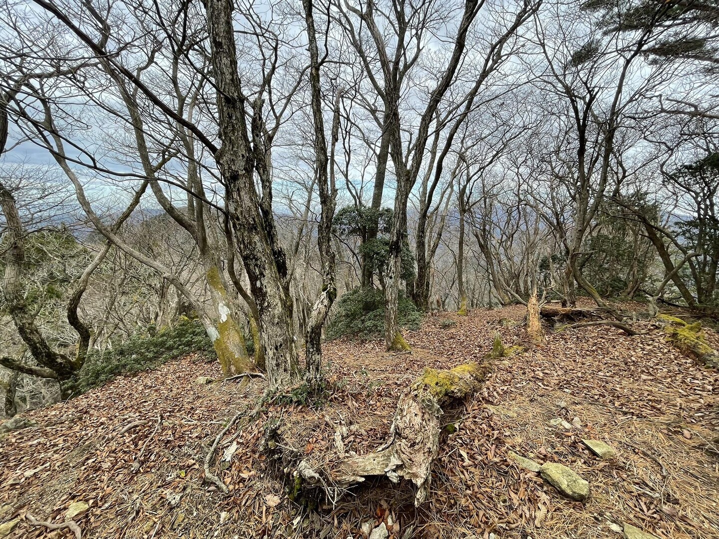 podoryさんの投稿したフィールドメモ | YAMAP / ヤマップ