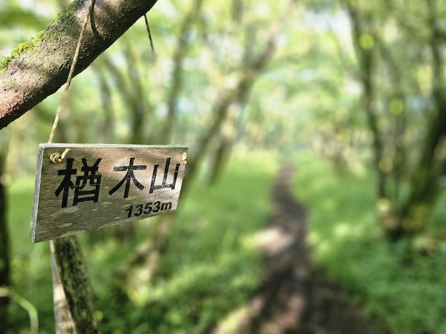 三国山・楢木山（富士箱根トレイル手ぬぐいGET！） / カズさんの三国山・大洞山・不老山の活動日記 | YAMAP / ヤマップ