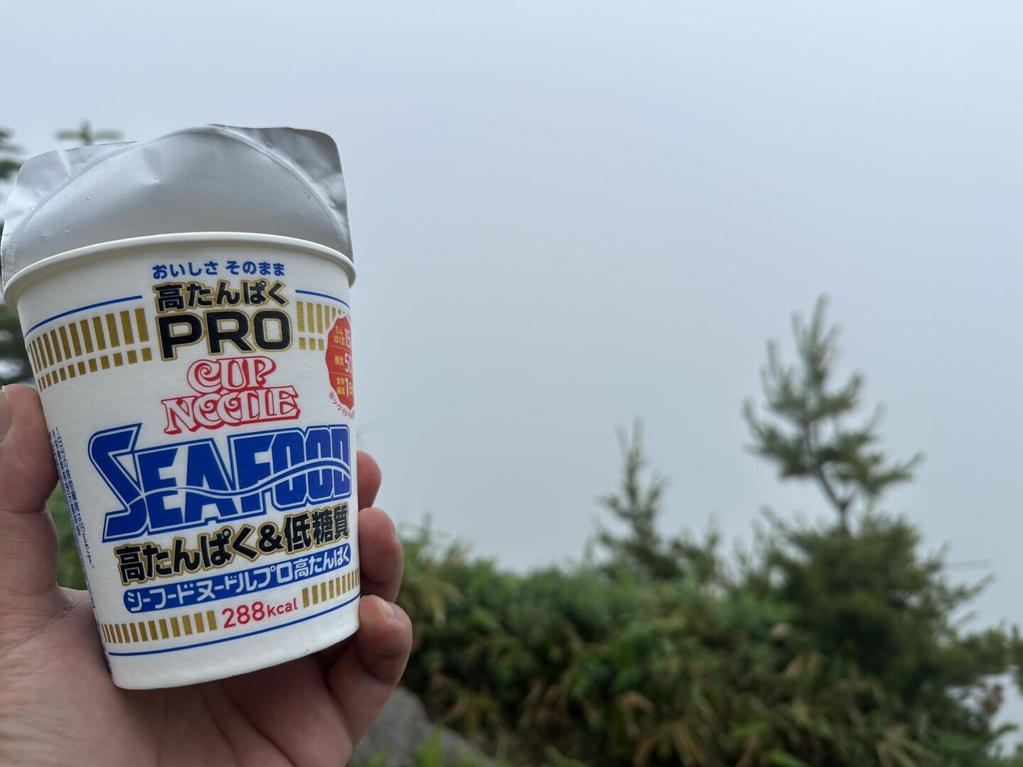 残念な感じの黒斑山っす / syunziさんの浅間山・黒斑山・篭ノ登山の活動データ | YAMAP / ヤマップ