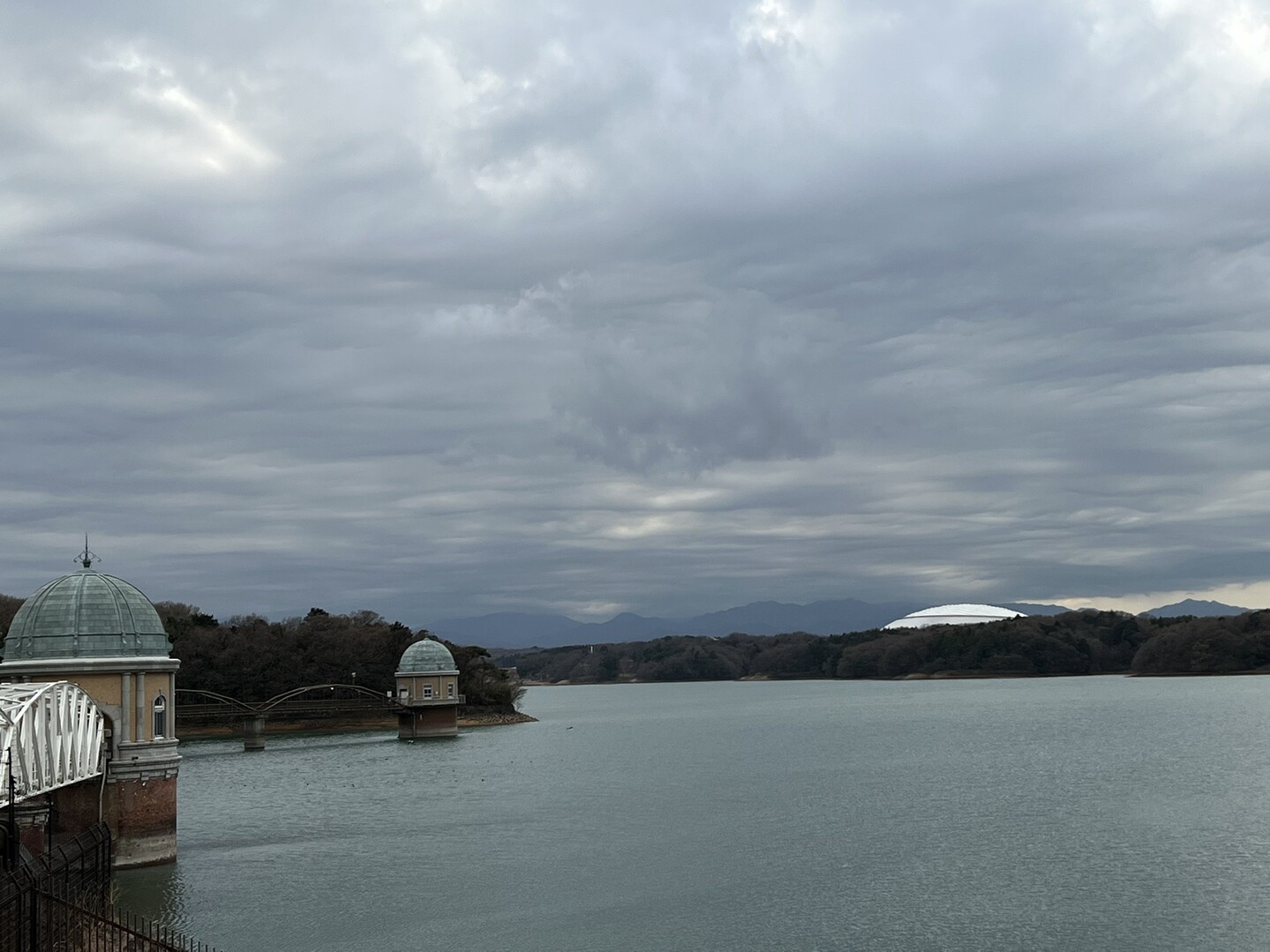 多摩湖ウォーキング-2022-03-27 / yumiさんのウォーキングの活動データ | YAMAP / ヤマップ