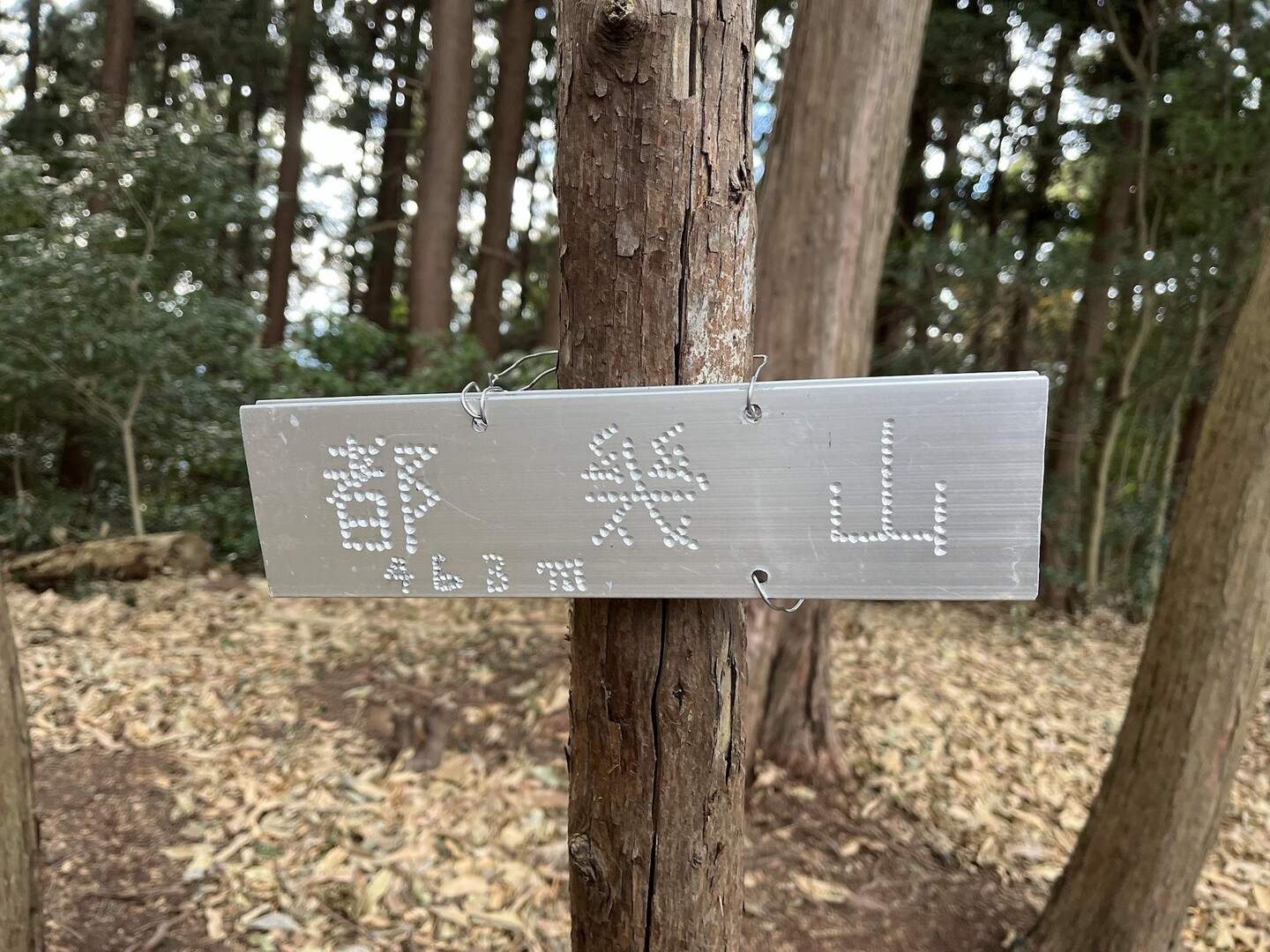 都幾山・金嶽 / おのきょうPHさんの堂平山・笠山（乳房山）・大霧山の活動データ | YAMAP / ヤマップ