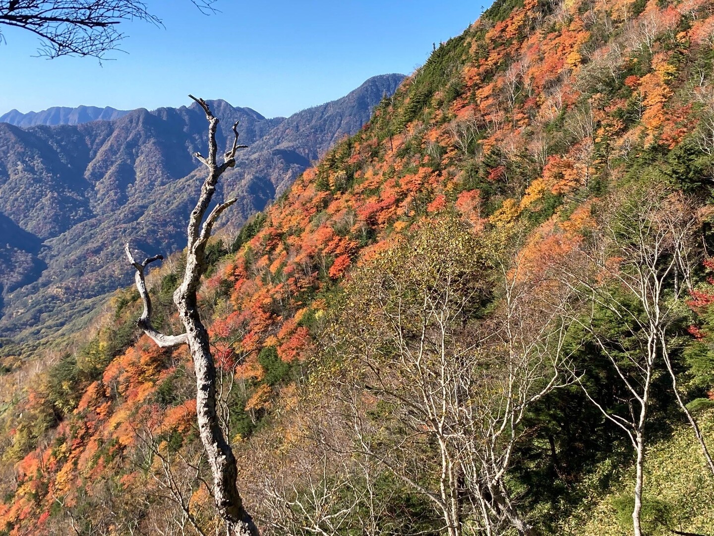 宿堂坊山・三俣山・シゲト山・黒檜岳 / 今日ちゃんさんの皇海山・袈裟丸山・庚申山の活動データ | YAMAP / ヤマップ