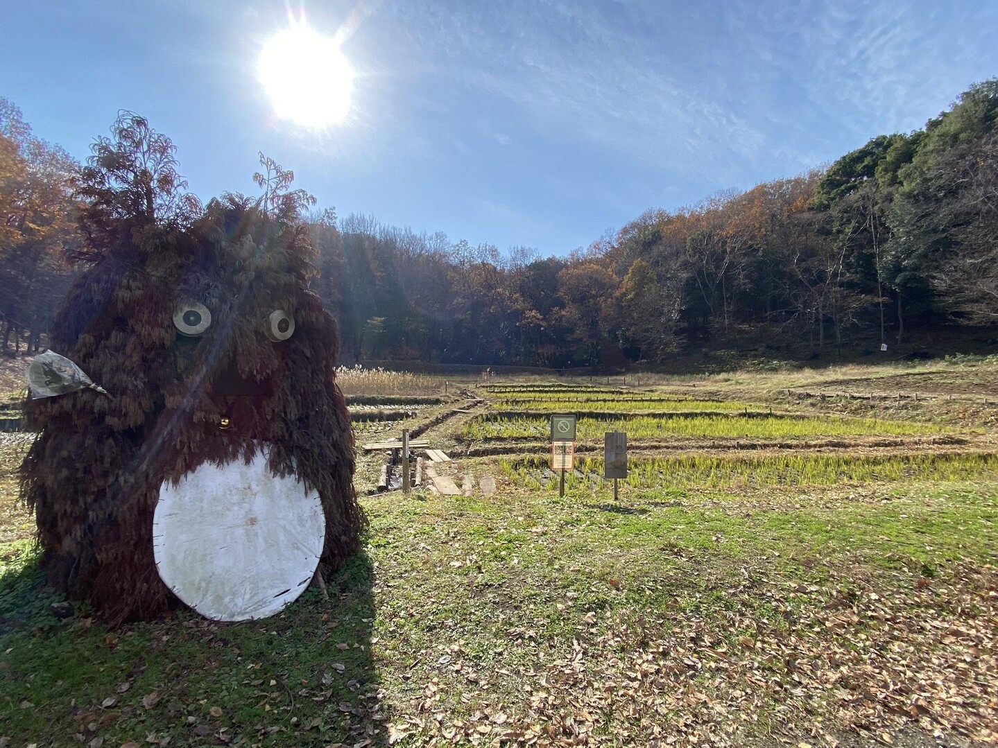 狭山丘陵 / miuさんの六道山 ・多摩湖・狭山湖の活動データ | YAMAP / ヤマップ