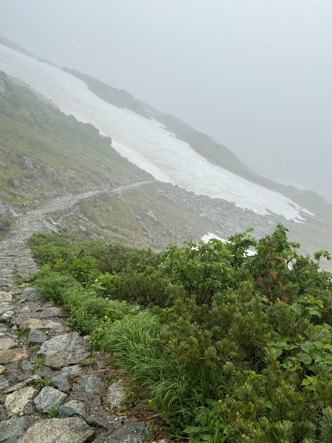 立山・雄山・浄土山-2024-07-15 / ma-minさんの立山・雄山・浄土山の活動データ | YAMAP / ヤマップ