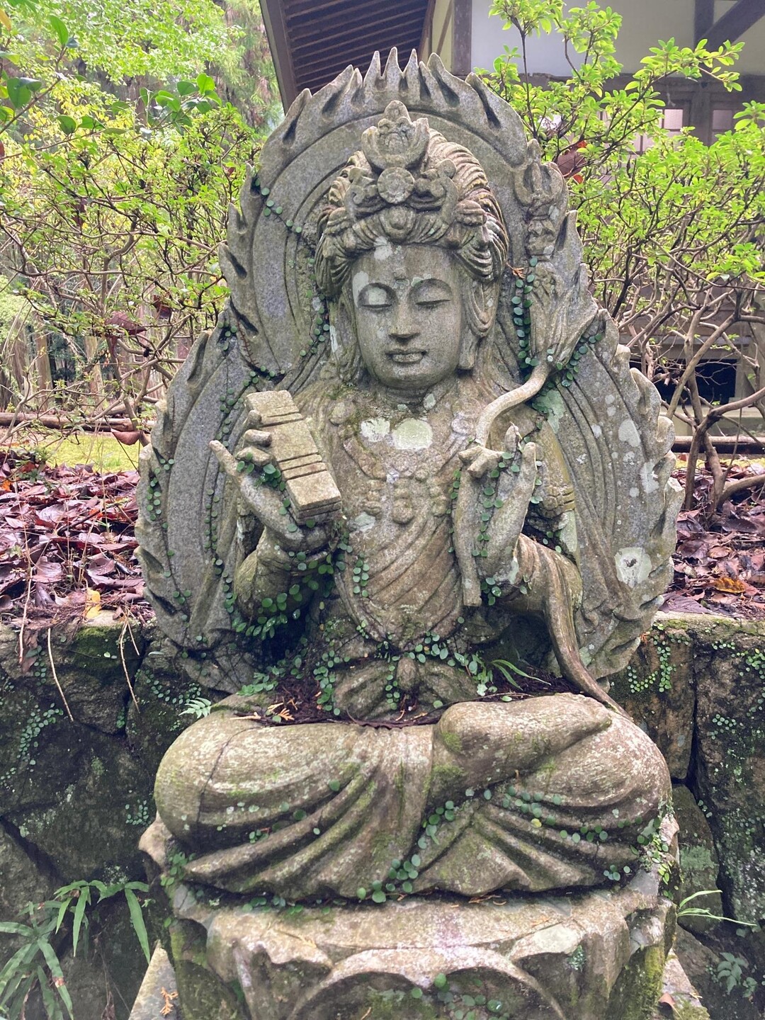 大国見山 / cocoaさんの大国見山の活動データ | YAMAP / ヤマップ