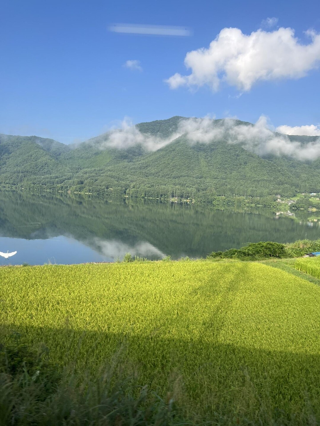八方池に行って来ました！ 8割方ガスって... / ちかこさんのモーメント | YAMAP / ヤマップ