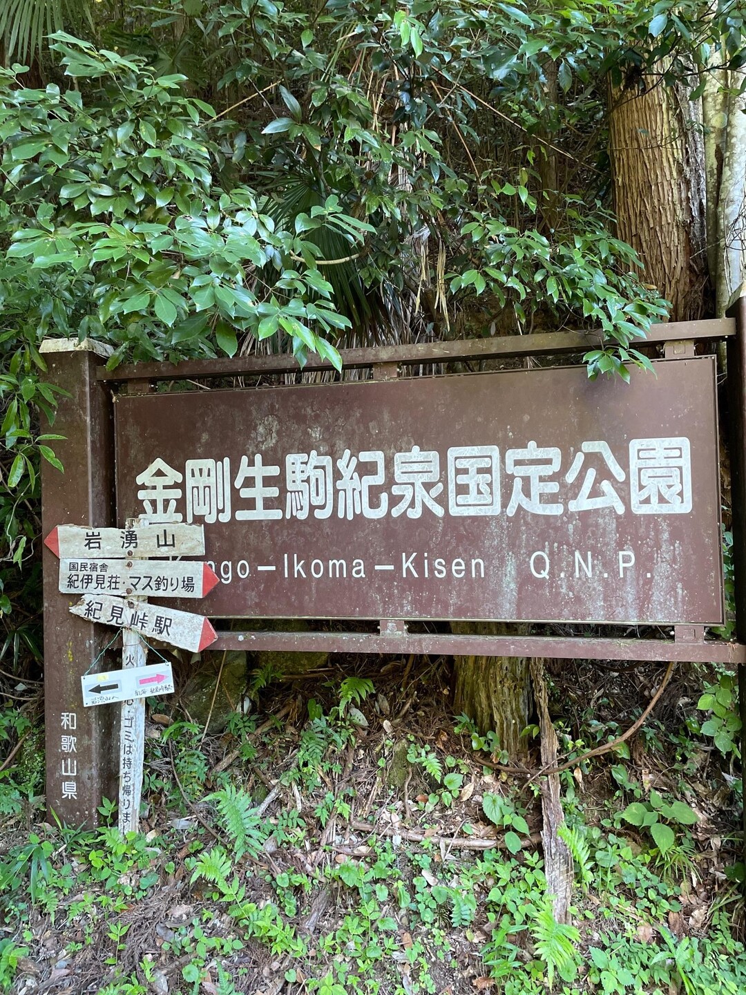 2023.07.17(月) 04:28 / ネバランさんのモーメント | YAMAP / ヤマップ