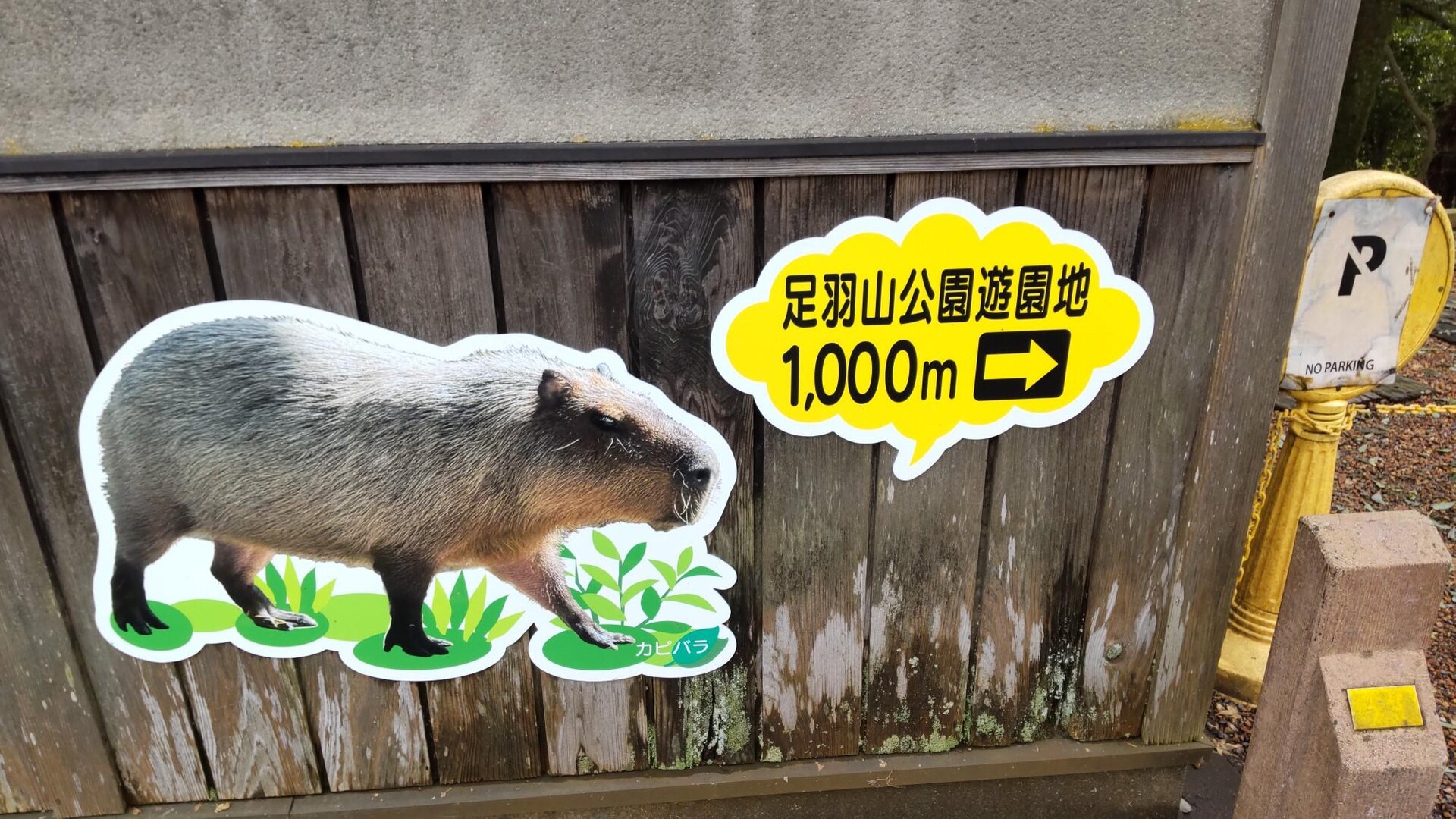 足羽山、行ってみたら、ディープ福井スポットだった件。 / NATSUさん。さんの足羽山・八幡山・兎越山の活動データ | YAMAP / ヤマップ