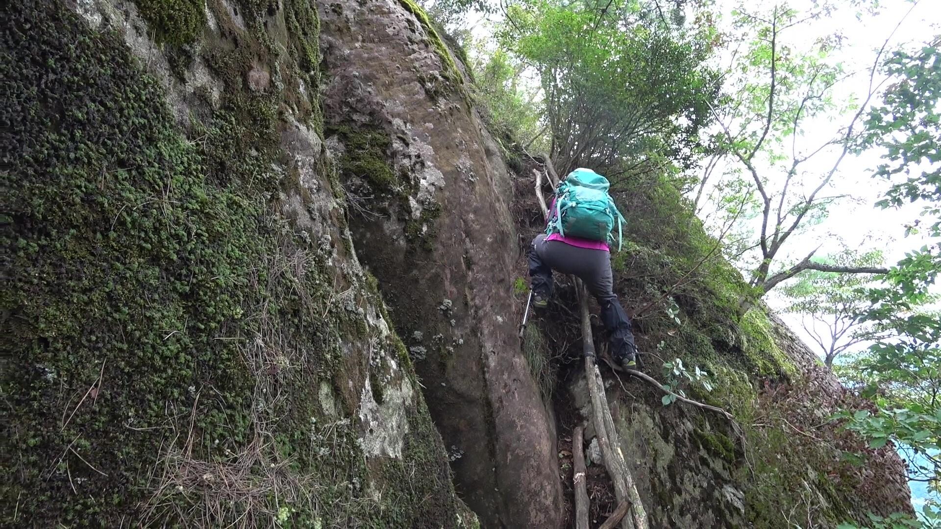 八方ヶ岳・蟹足岳・カニのハサミ岩 / suejirouさんの八方ヶ岳の活動データ | YAMAP / ヤマップ