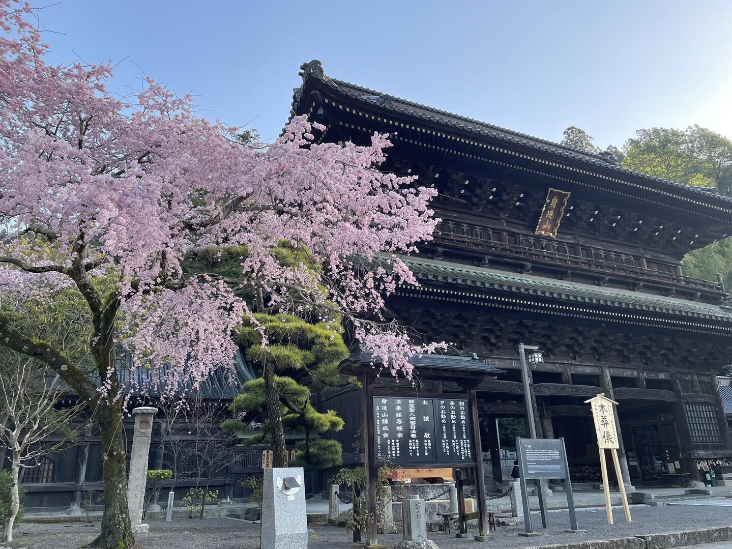 身延山 / トシGさんの七面山・身延山の活動データ | YAMAP / ヤマップ