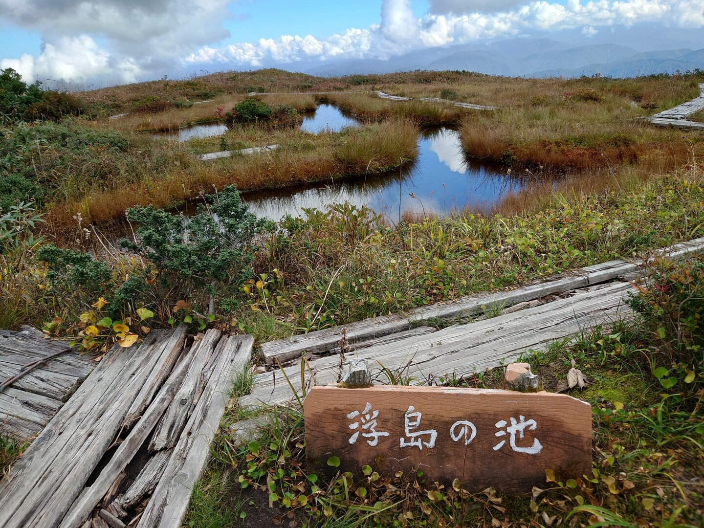 小白木峰・白木峰・北白木峰 / yujiさんの白木峰・小白木峰の活動データ | YAMAP / ヤマップ