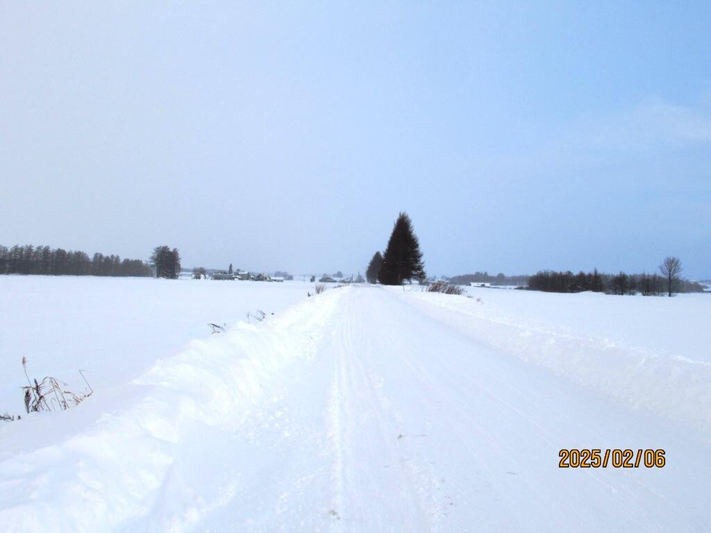 ウォーキング-2025-02-06 / miyaさんのウォーキングの活動データ | YAMAP / ヤマップ