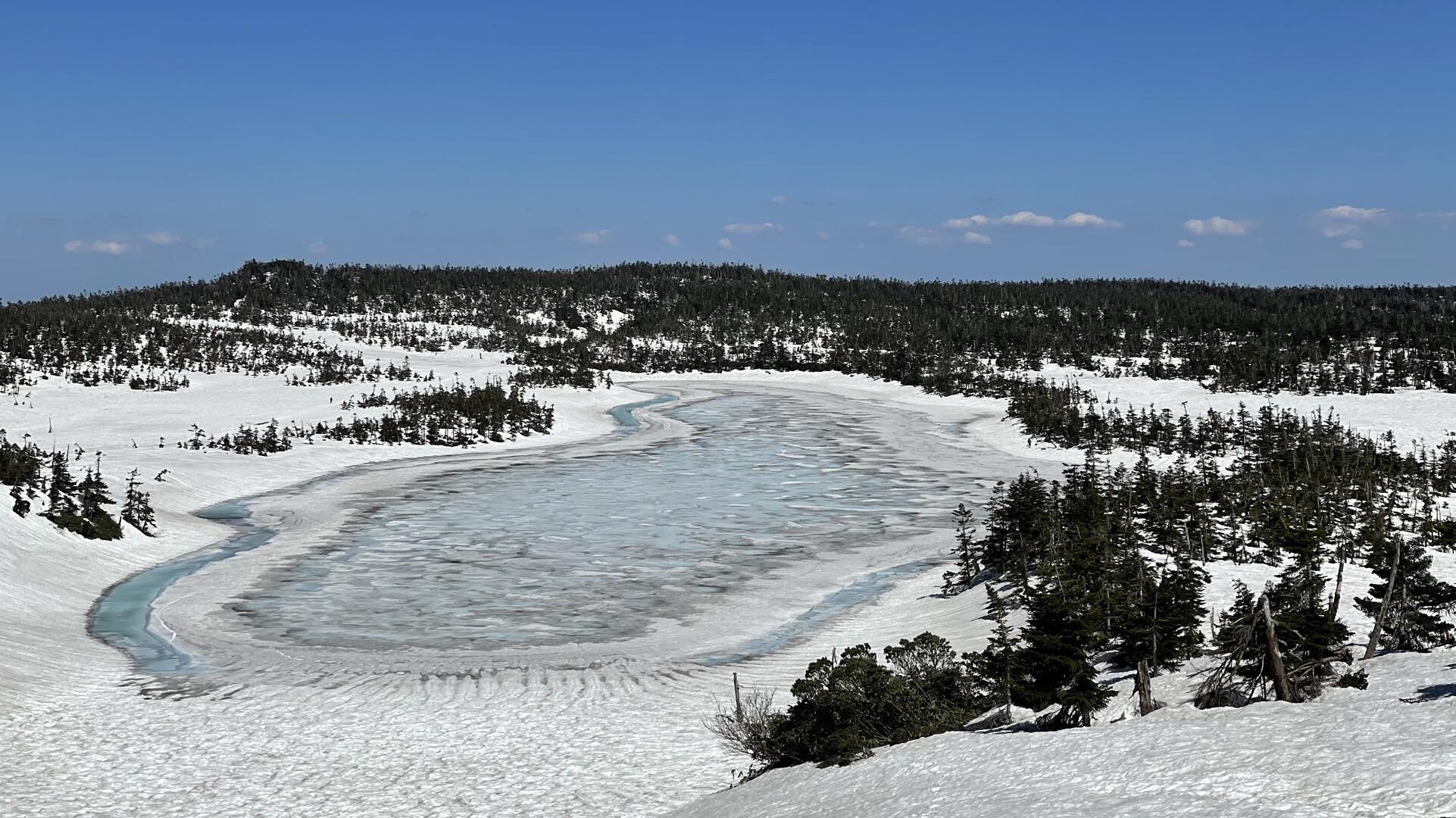 八幡平 / MZYさんの岩手山・八幡平・安比高原 50km トレイルの活動データ | YAMAP / ヤマップ