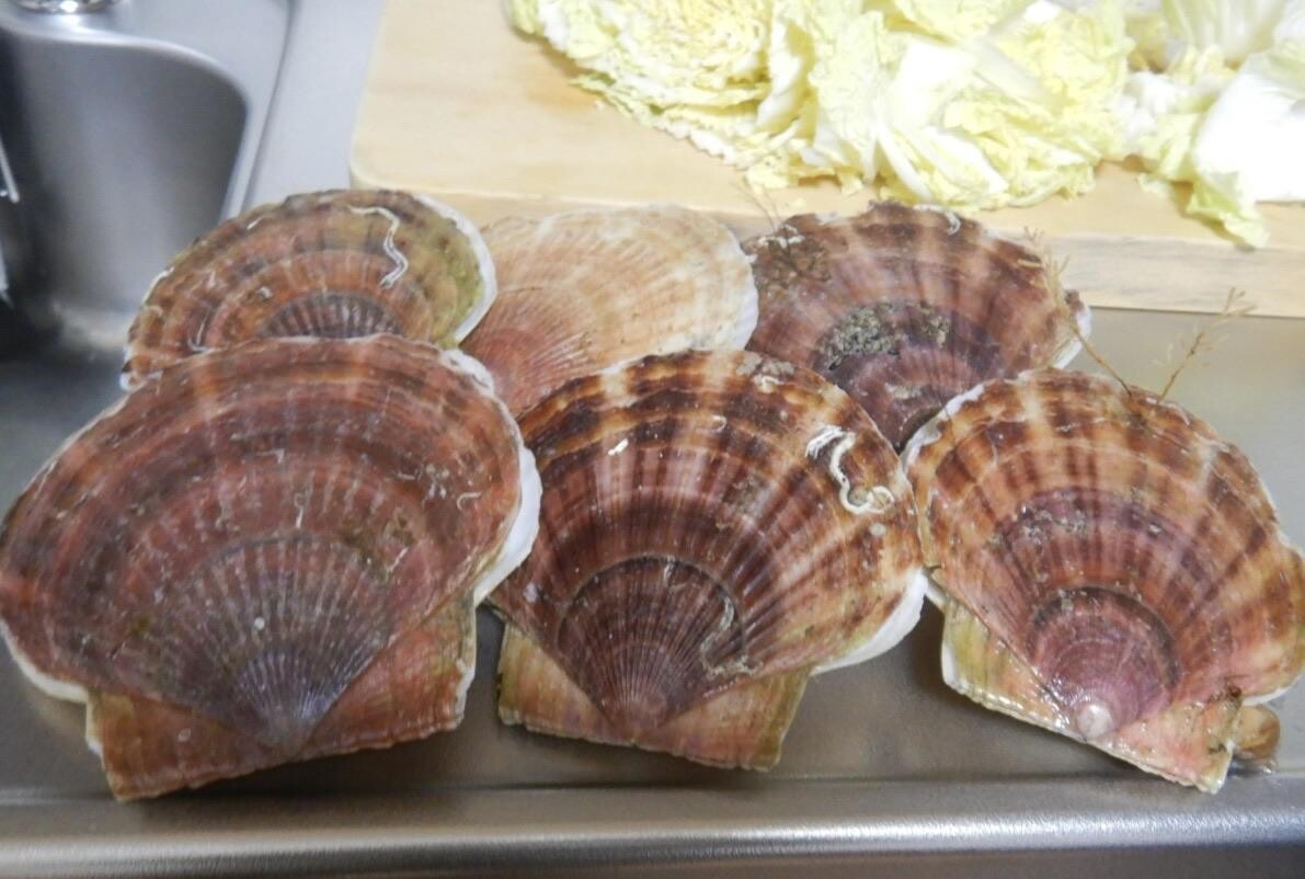 サロマ湖の香りが届いた。 生きたまま届い... / ken-3さんのモーメント | YAMAP / ヤマップ