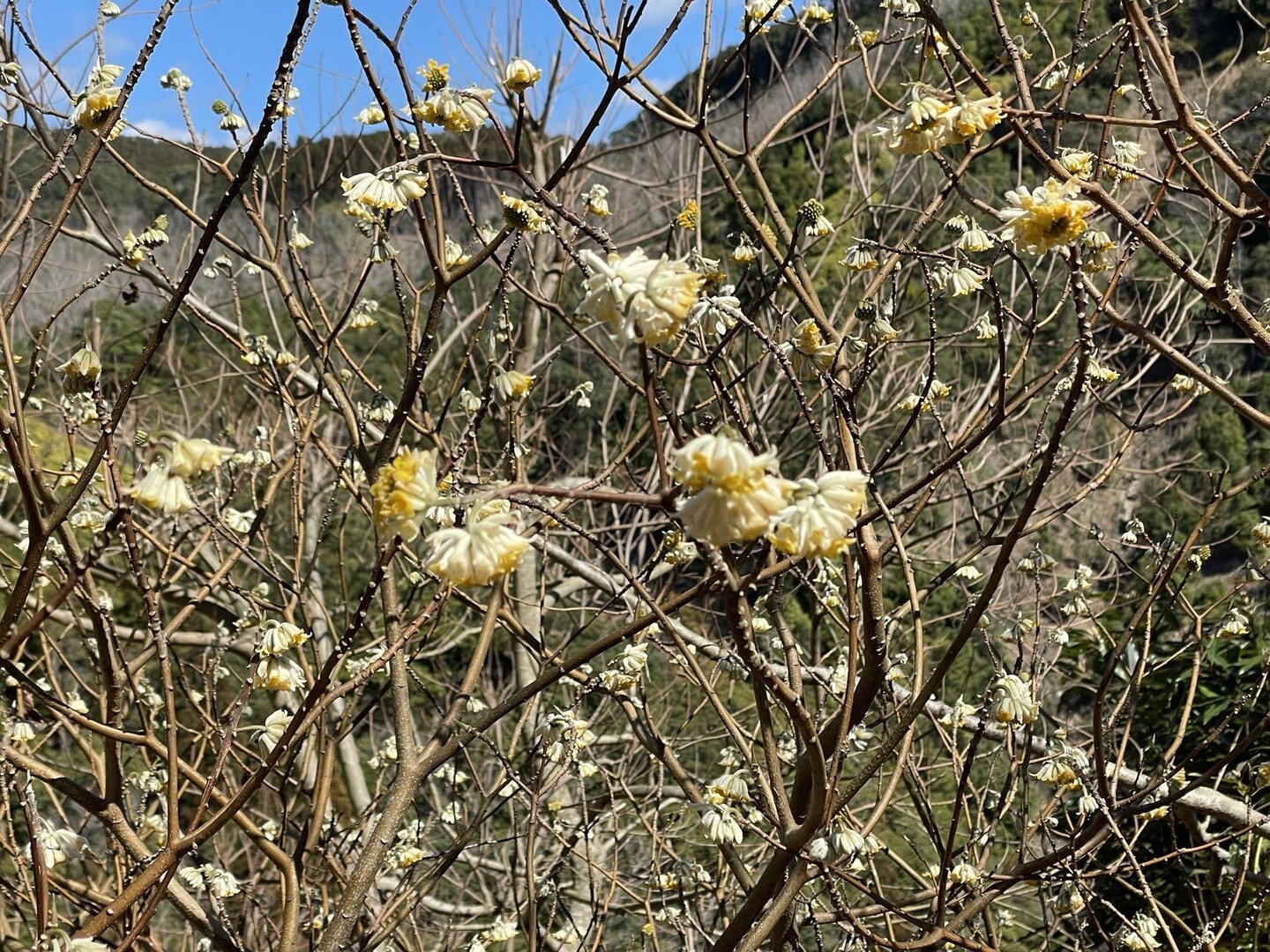 高塚山 ︎コンシェルジュはヤマドリ🐦‍⬛ / AnKemiさんの高塚山の活動データ | YAMAP / ヤマップ