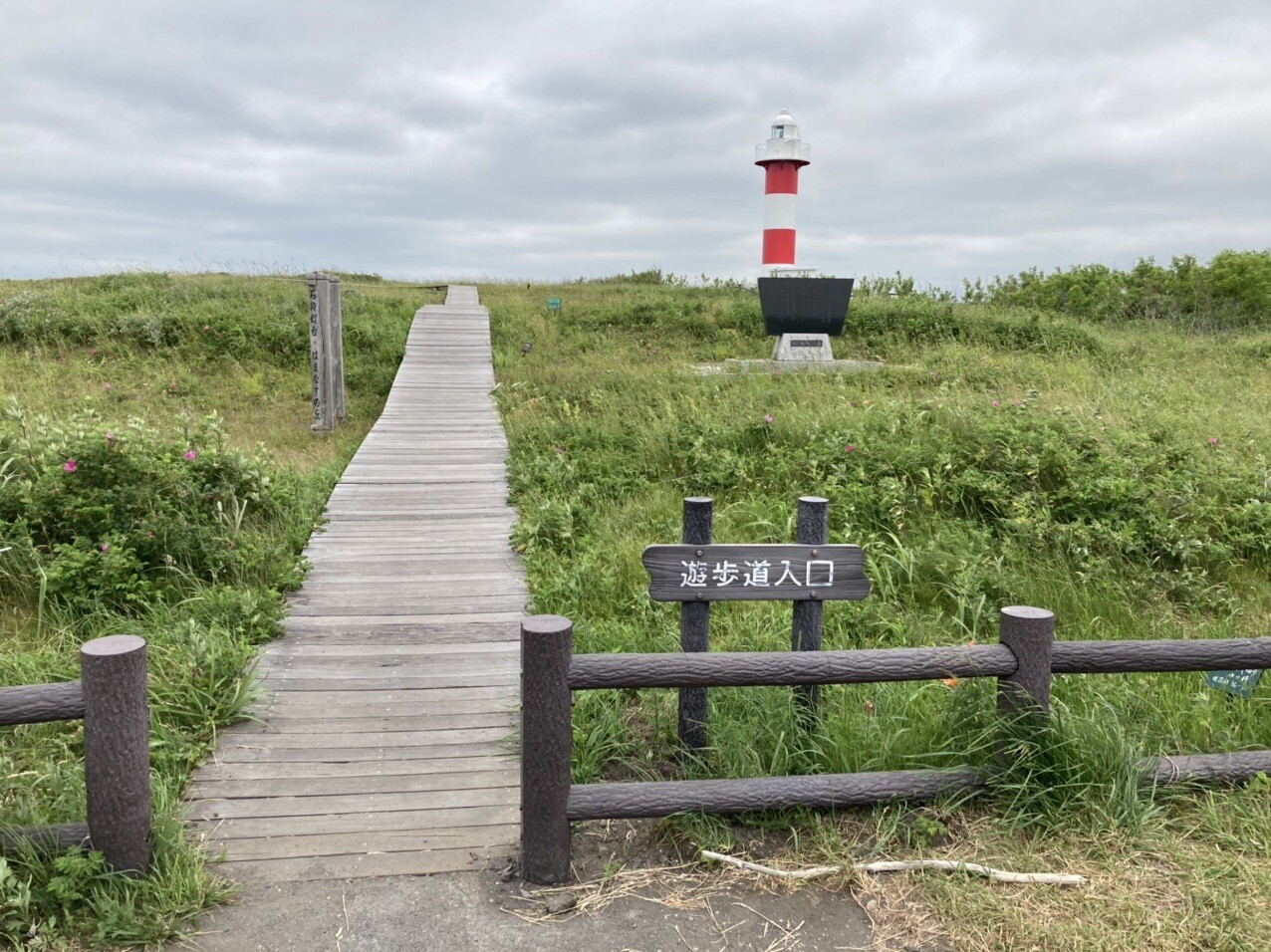 隙間時間のUMIP はまなすの丘公園🌸 / 2525bbさんの登山の活動データ | YAMAP / ヤマップ