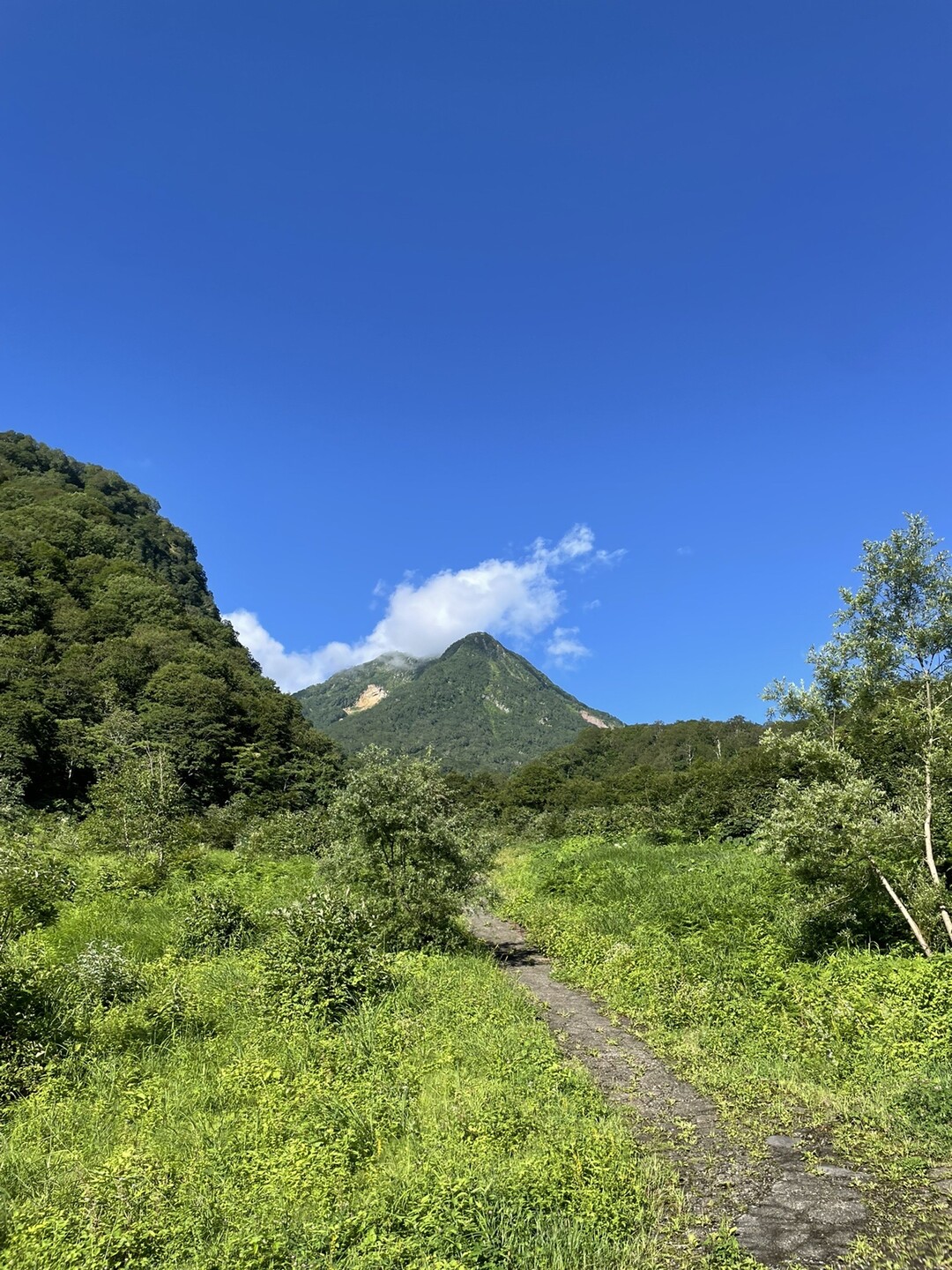 よっちさんの投稿したフィールドメモ | YAMAP / ヤマップ