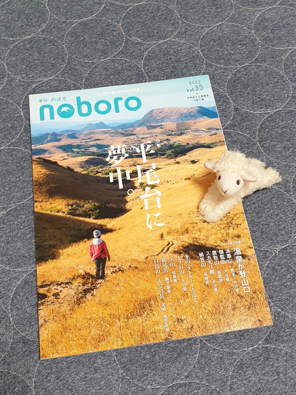 🌟noboro🌟 『平尾台に夢中。... / ろつおさんのモーメント | YAMAP / ヤマップ