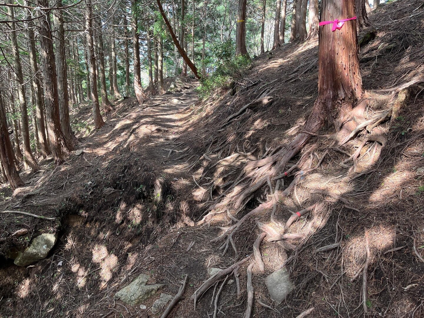 JUNさんの投稿したフィールドメモ | YAMAP / ヤマップ