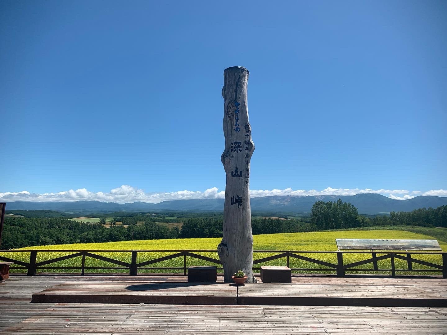 夏の富良野＆美瑛 深山峠 フラワーランド... / ni43さんのモーメント | YAMAP / ヤマップ