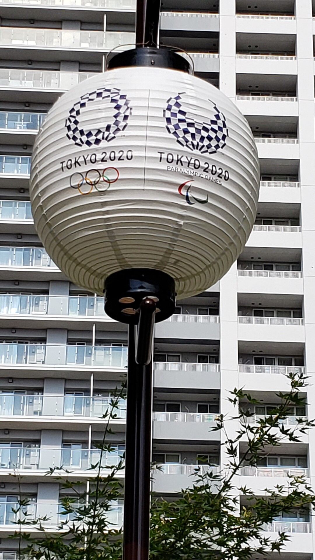 氷川神社をランニング中に見つけました‼️... / H.Kさんのモーメント | YAMAP / ヤマップ