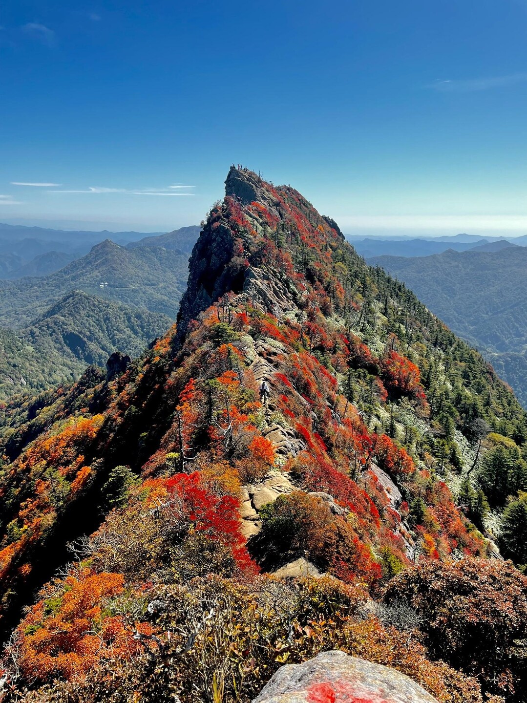 紅葉🍁石鎚山 / 9niさんの石鎚山・堂ヶ森・二ノ森の活動日記 | YAMAP / ヤマップ