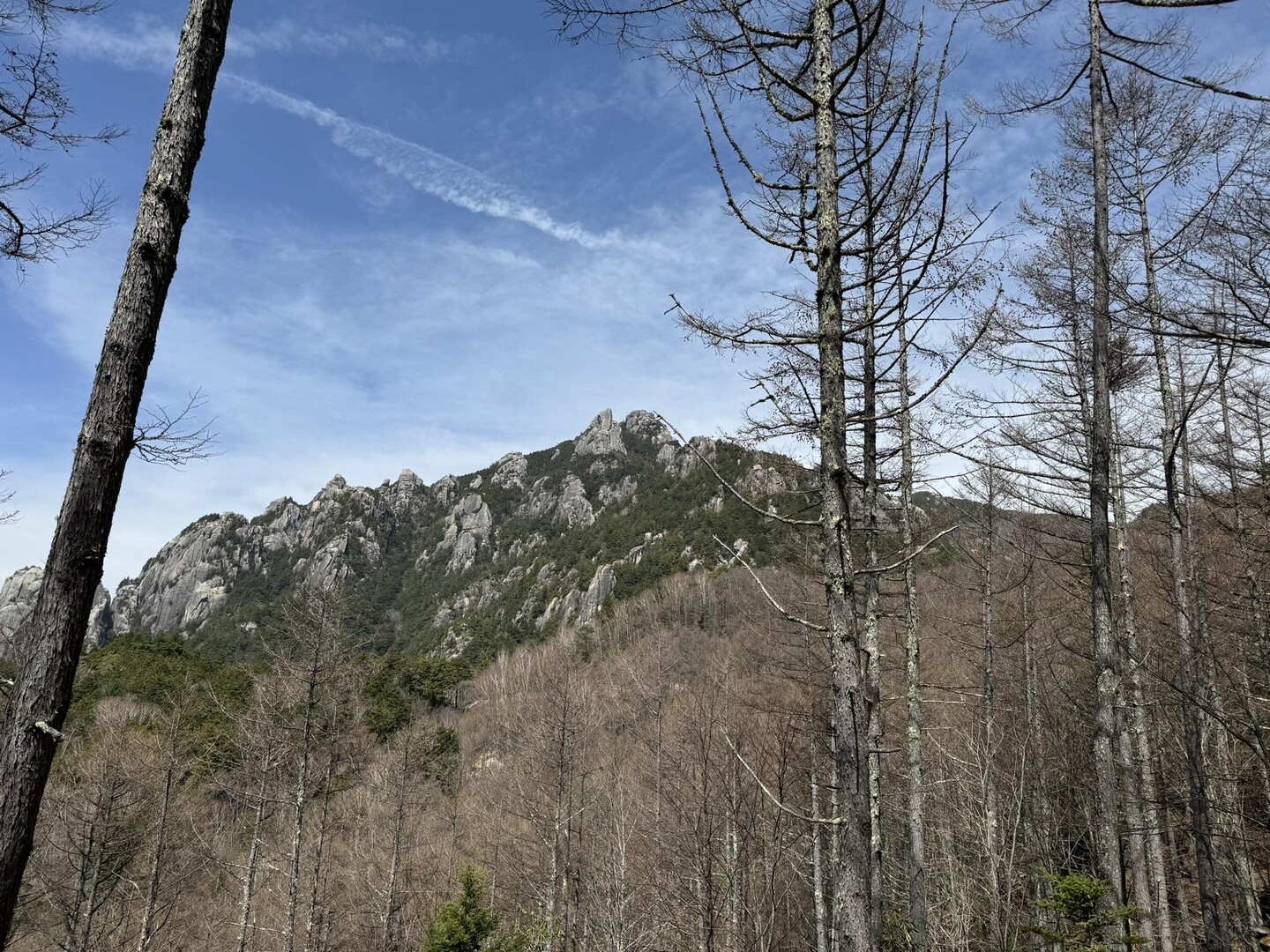 お姉ちゃん込みで瑞牆山 / takacさんの瑞牆山・金峰山の活動データ | YAMAP / ヤマップ