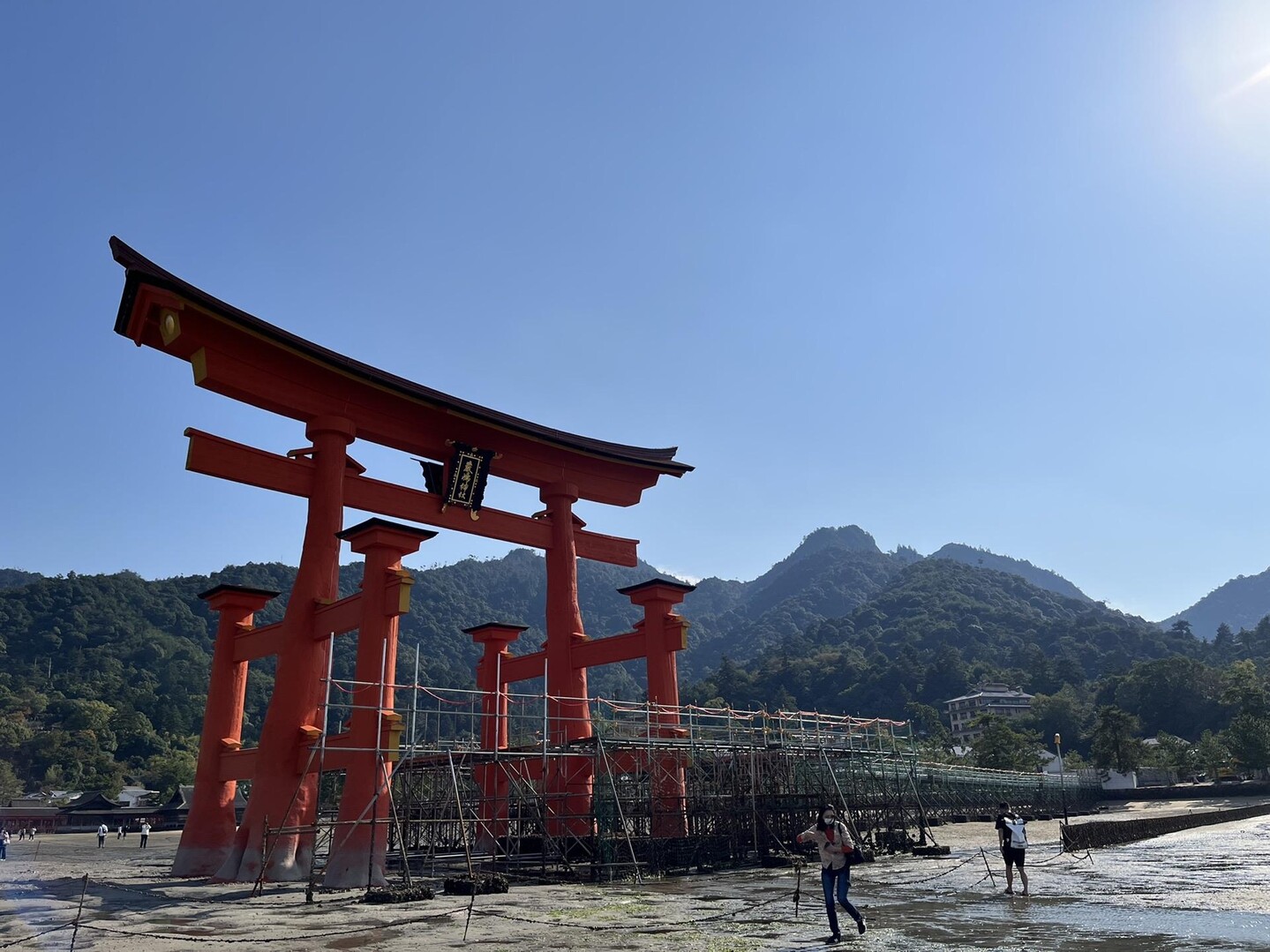 20221023弥山・駒ヶ林・三剣山・前峠山・要害山 / みやさんの宮島（厳島）・弥山の活動データ | YAMAP / ヤマップ