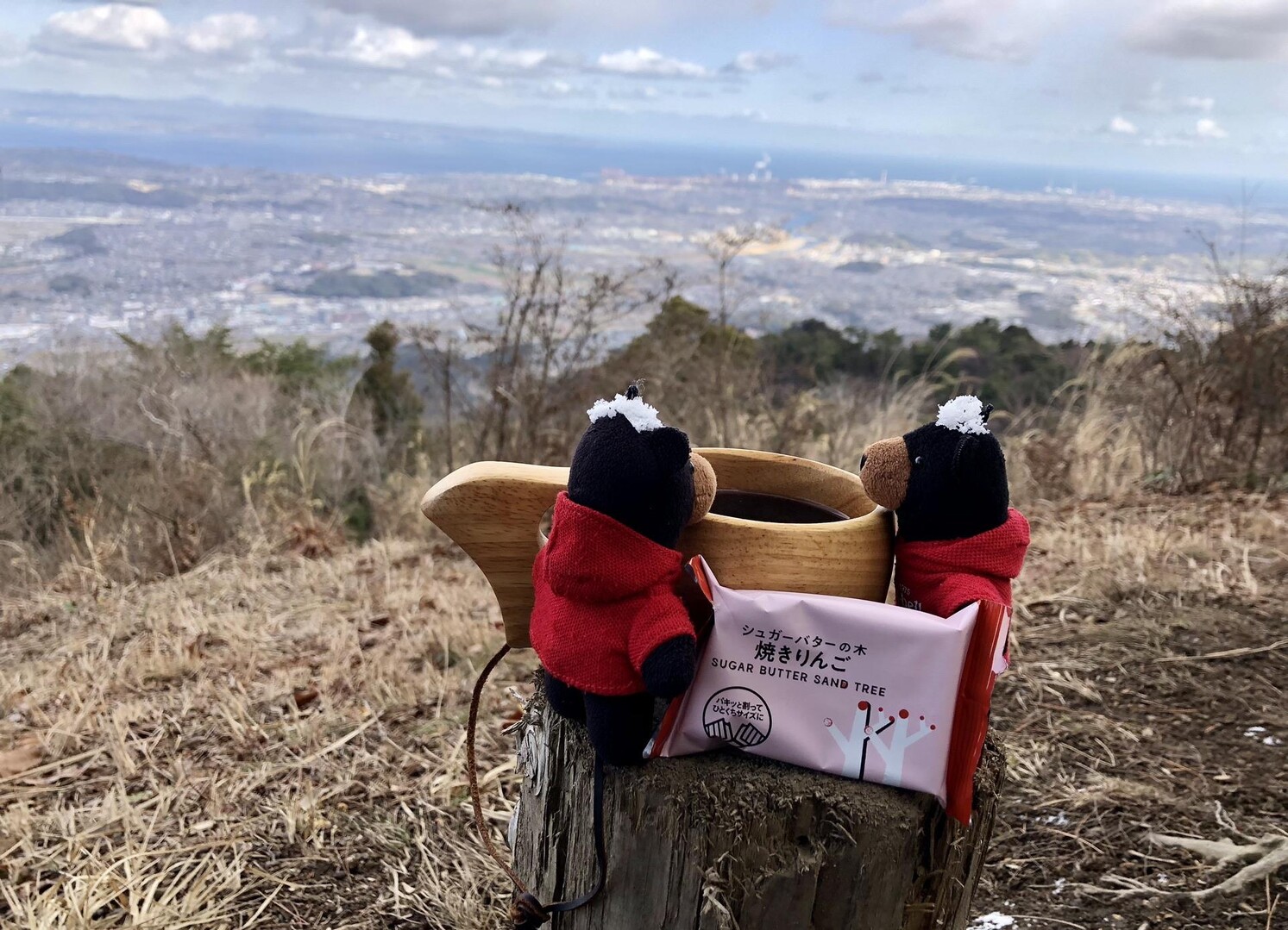 ちょっと残雪((´∀`*))霊山。 / datinさんの障子岳・霊山・飛来山・本宮山の活動データ | YAMAP / ヤマップ
