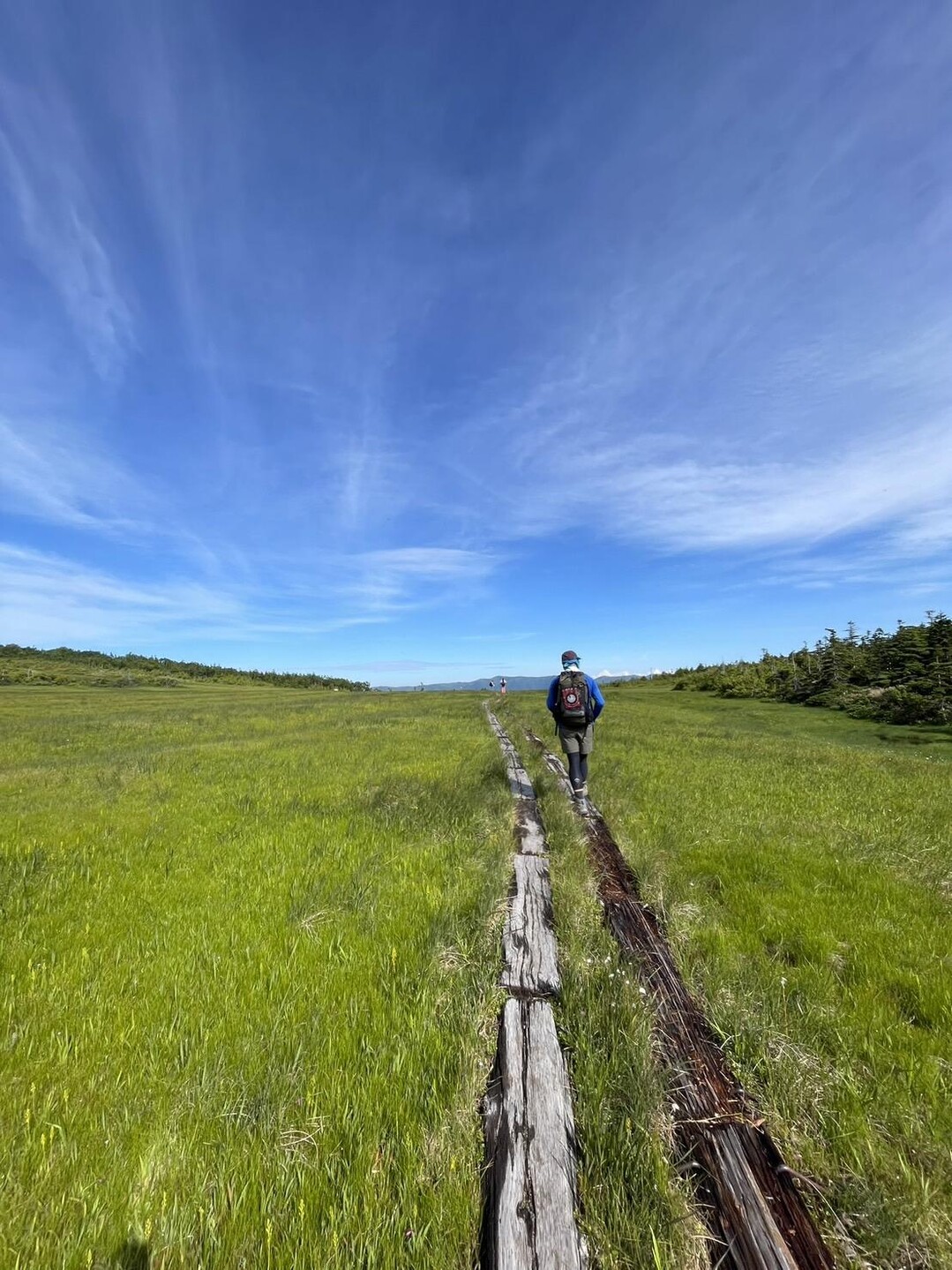 快晴！ 田代山・帝釈山 / YOさんの田代山・帝釈山の活動データ | YAMAP / ヤマップ
