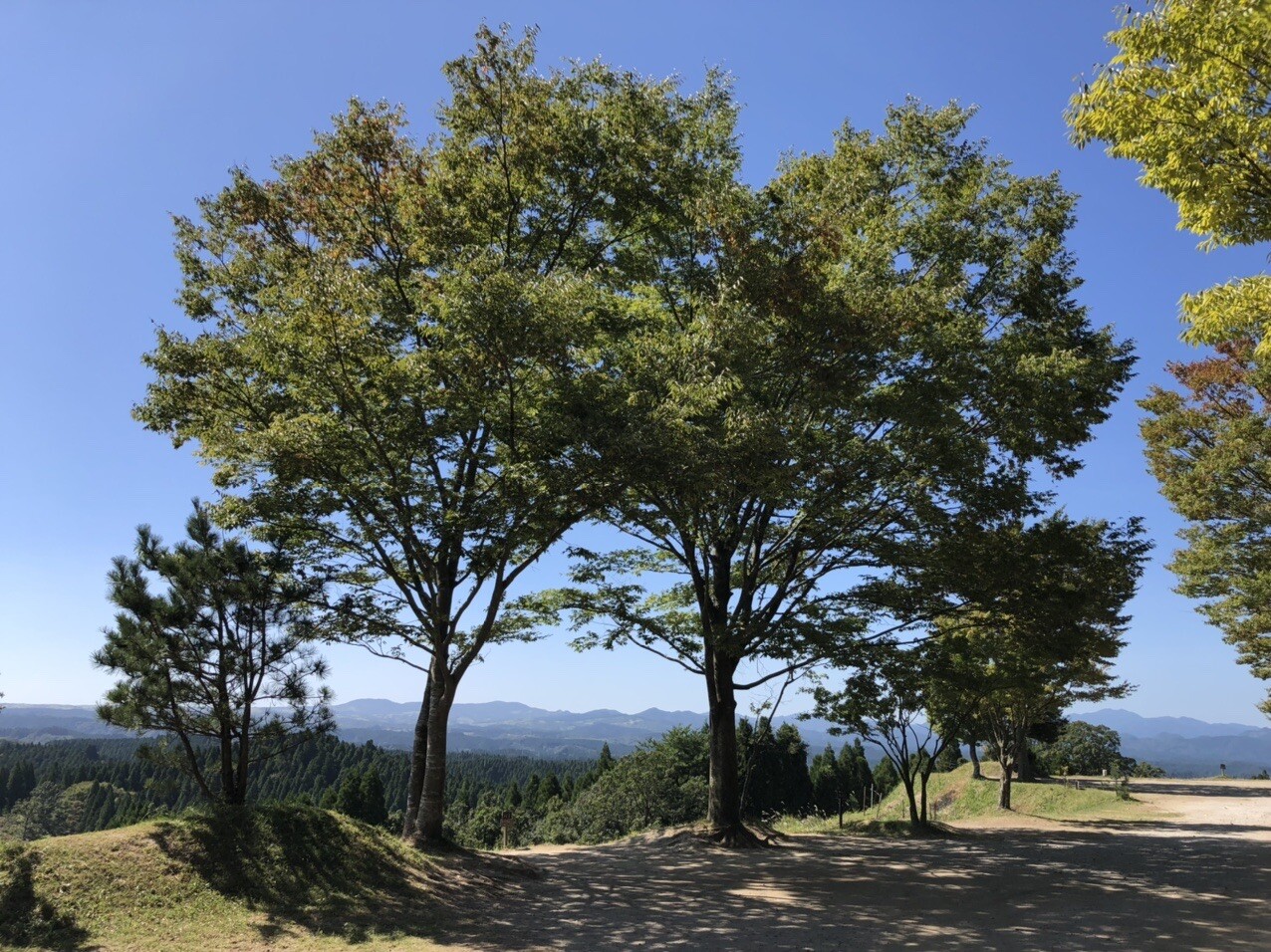 蔵迫さくらオートキャンプ場で タープ泊 ... / 純典Kさんのモーメント | YAMAP / ヤマップ