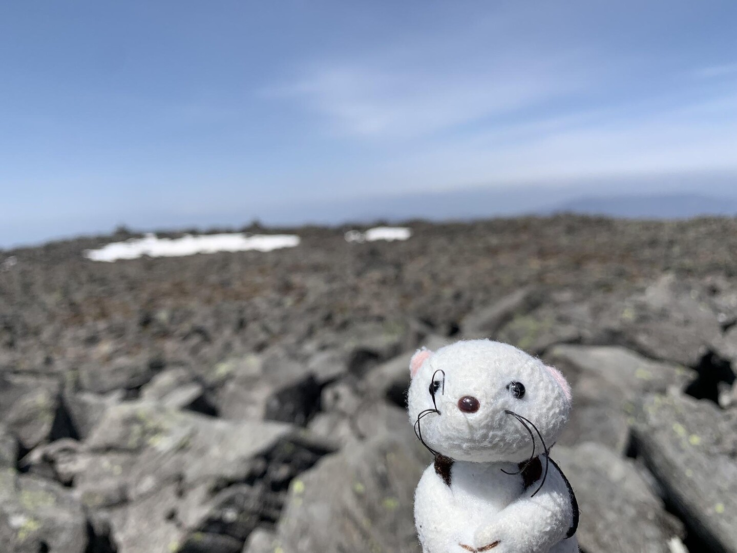 蓼科山 ハイキング / ARさんの蓼科山・横岳・縞枯山の活動データ | YAMAP / ヤマップ