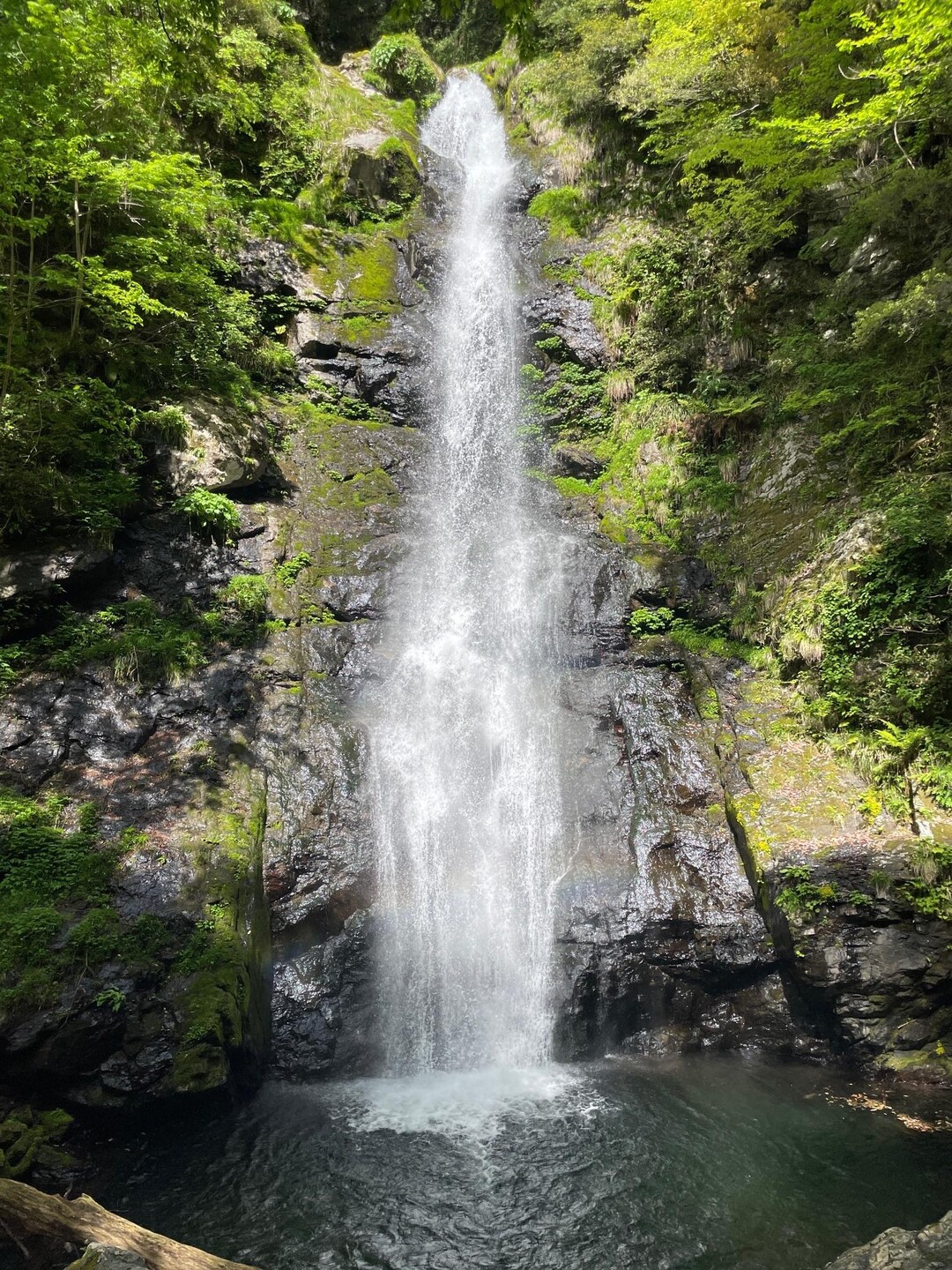 「十方山」 / gun グンさんの十方山の活動データ | YAMAP / ヤマップ