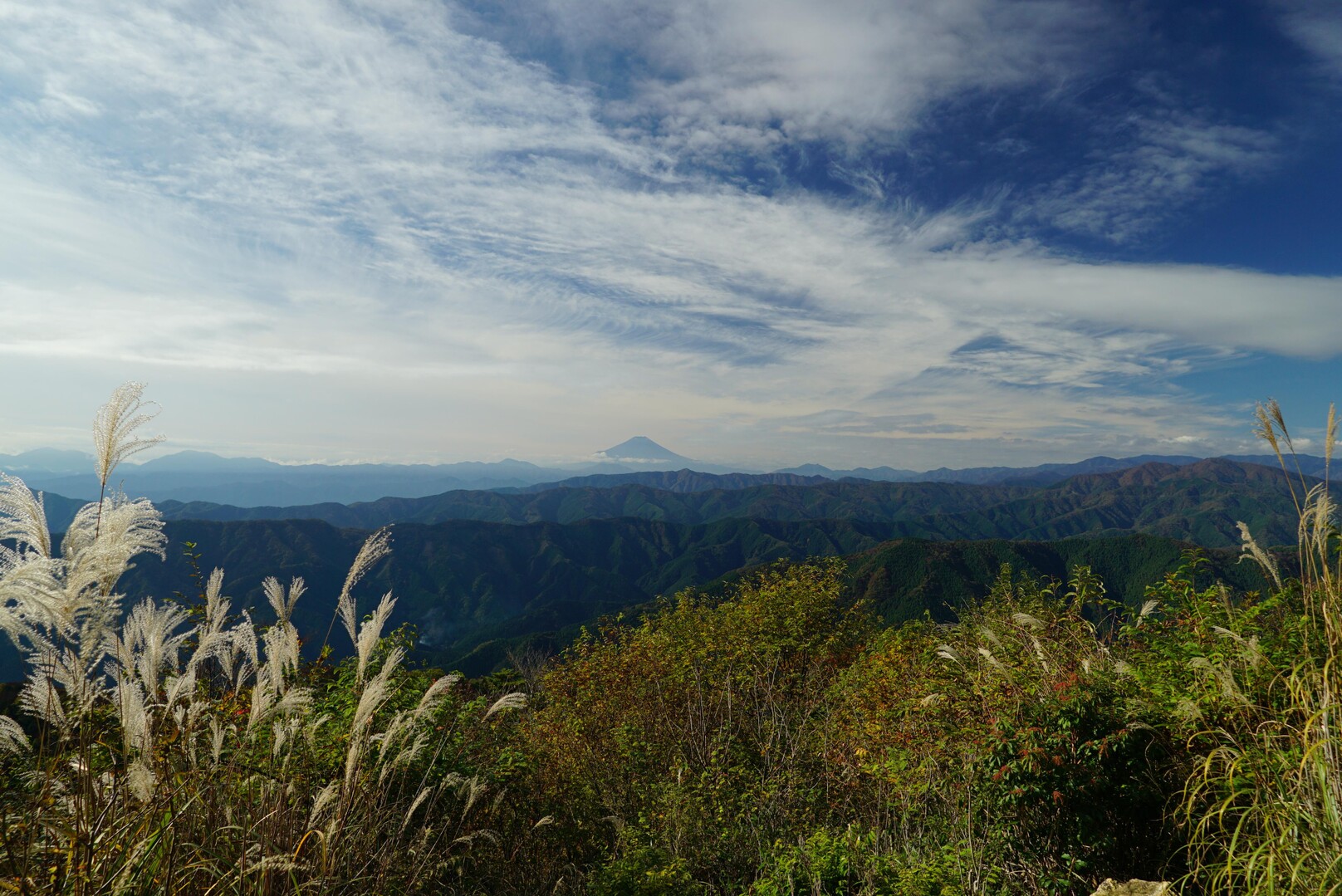 大岳山から富士山を眺めに / mss53さんの大岳山・御岳山・御前山の活動データ | YAMAP / ヤマップ