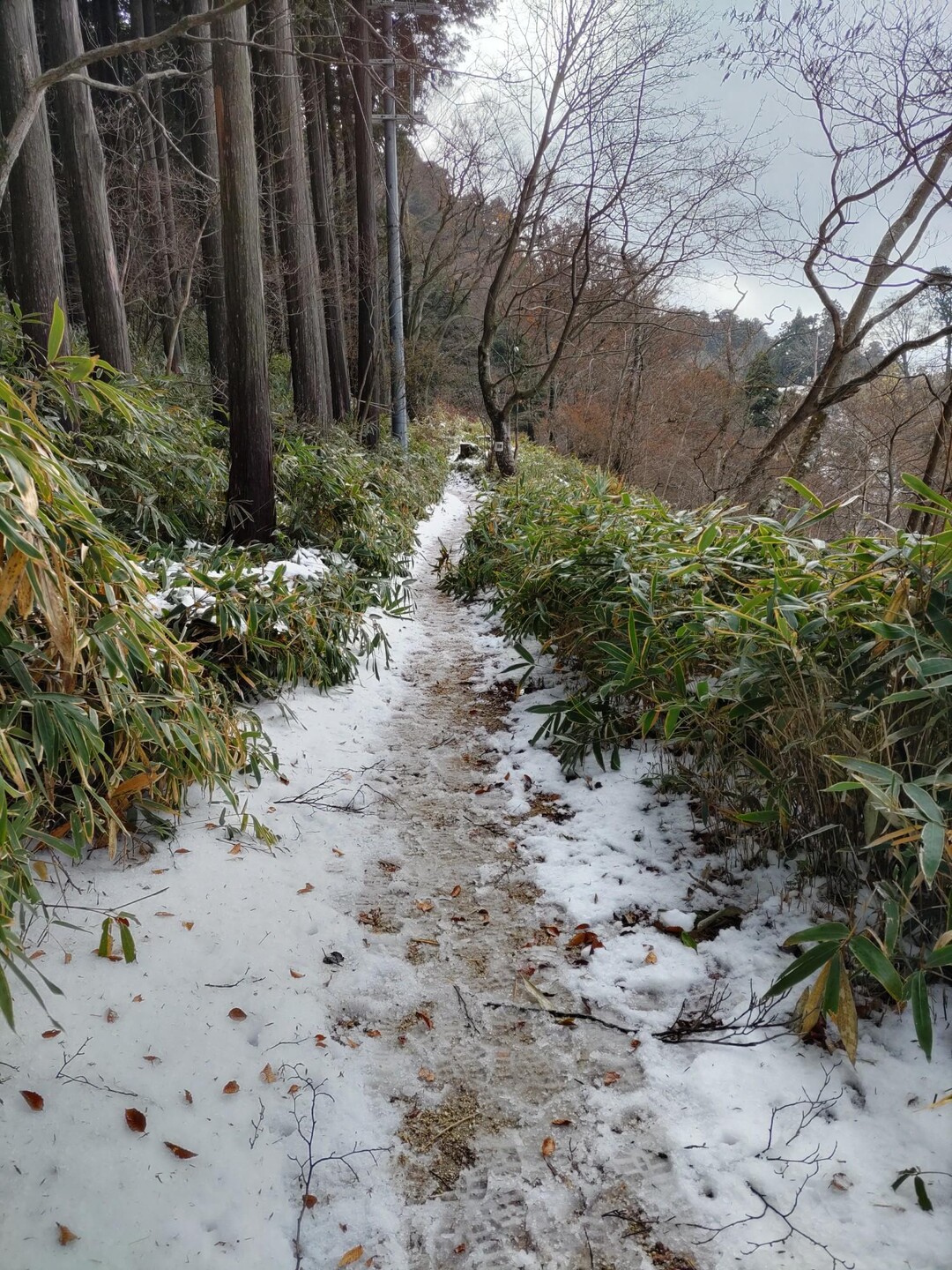 金剛山 青崩道ピストン / T64さんの葛城修験エリアマップ（金剛山周辺）の活動データ | YAMAP / ヤマップ