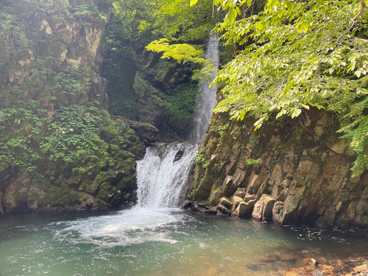 矢筈ヶ山 / aki-kiyoさんの大山・甲ヶ山・野田ヶ山の活動データ | YAMAP / ヤマップ