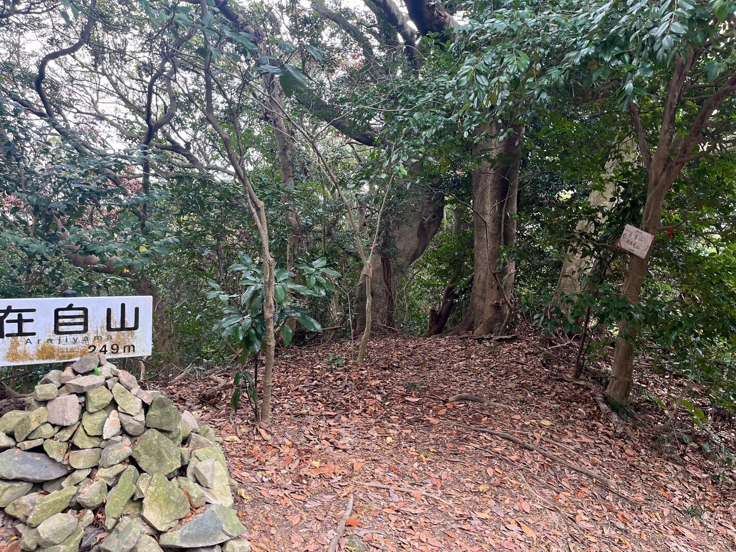 nekodakeさんの投稿したフィールドメモ | YAMAP / ヤマップ