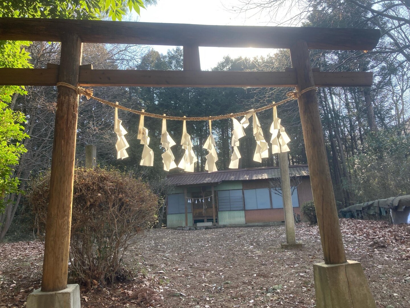 taoさんの投稿したフィールドメモ | YAMAP / ヤマップ