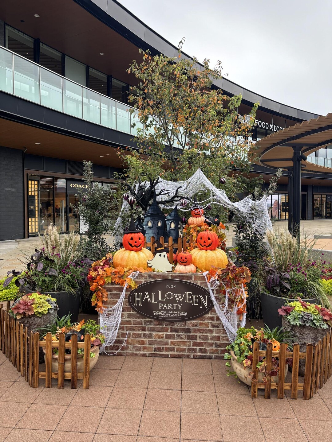 おはようございます🌞 ハッピー😀ハロ... / sasaさんのモーメント | YAMAP / ヤマップ