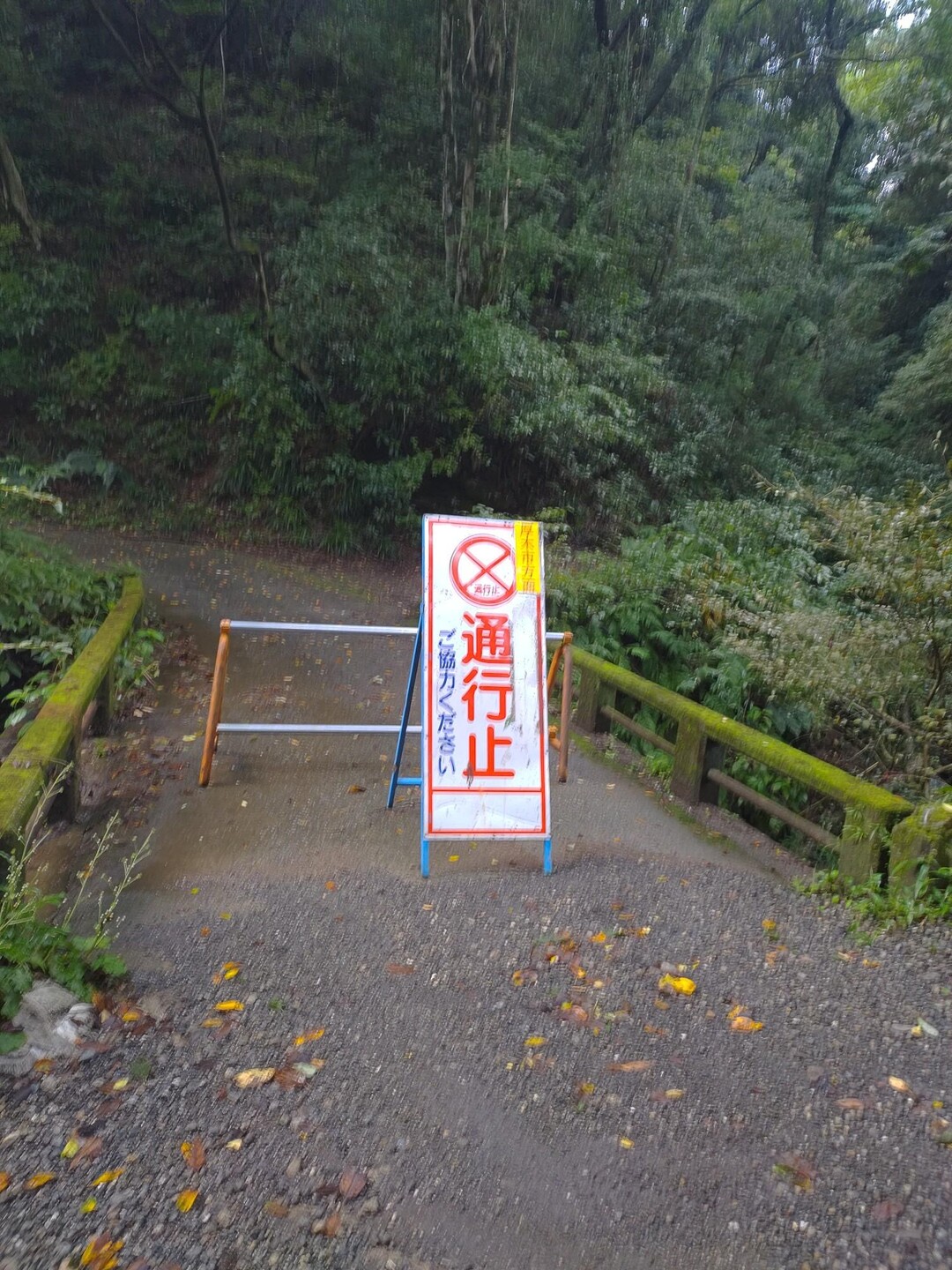 八菅神社からいこいの森までは行けますが枝... / hachacha-umemeさんのモーメント | YAMAP / ヤマップ