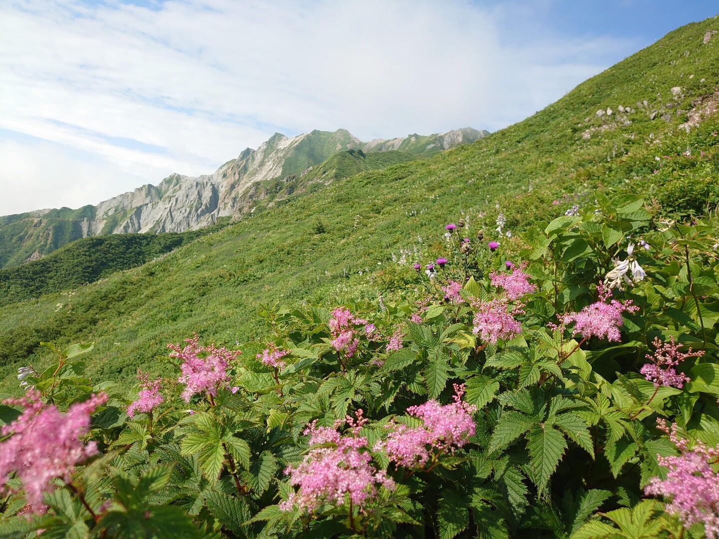 大山ユートピアはホントにユートピアです / Sarahさんの大山・甲ヶ山・野田ヶ山の活動データ | YAMAP / ヤマップ